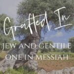 Grafted In Meaning - Jew And Gentile, One In Messiah
