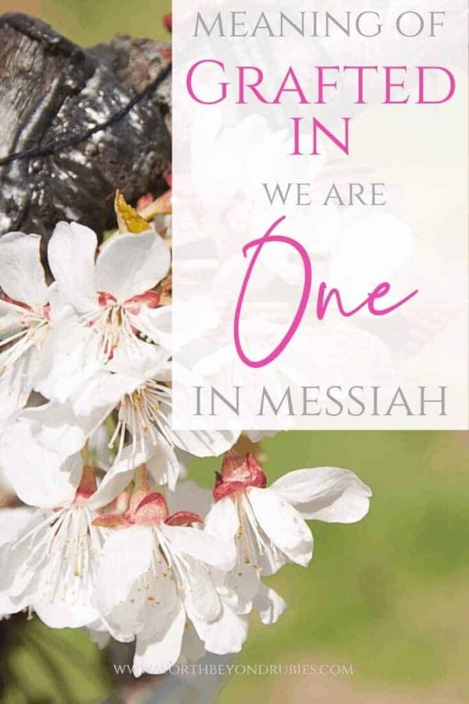 Grafted In Meaning - Jew And Gentile, One In Messiah