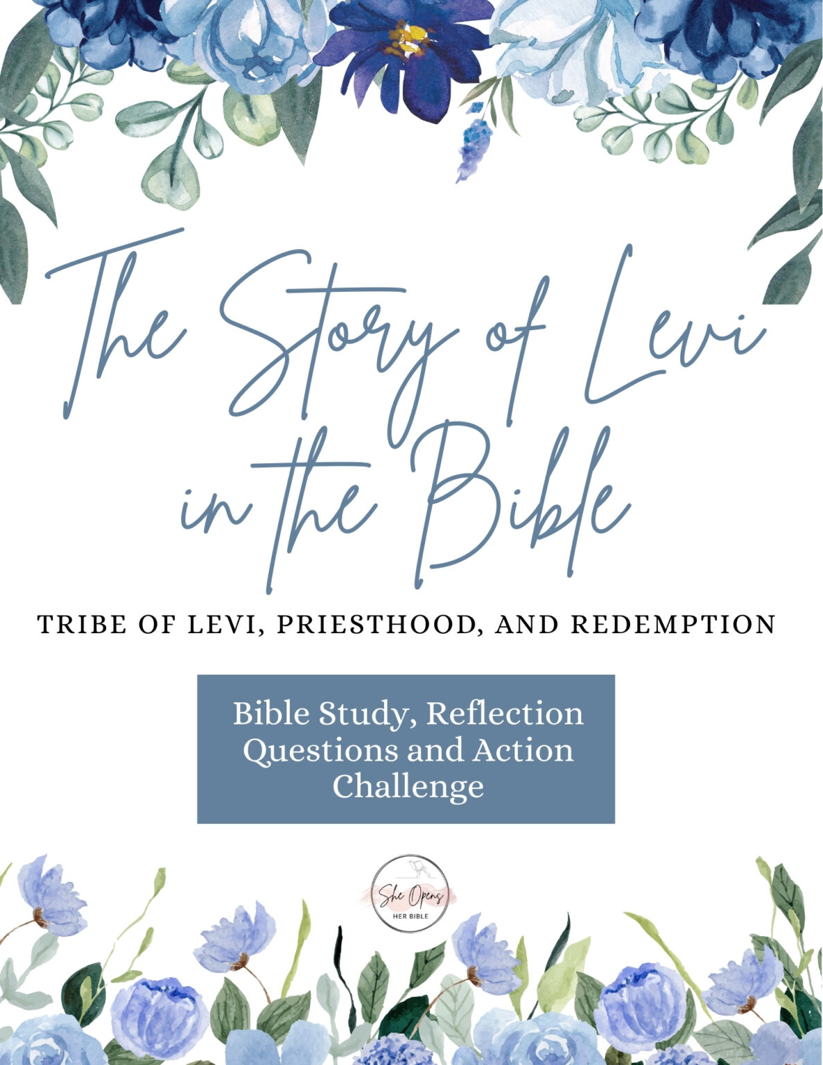 Story Of Levi In The Bible – Tribe Of Levi, Priesthood, And Redemption