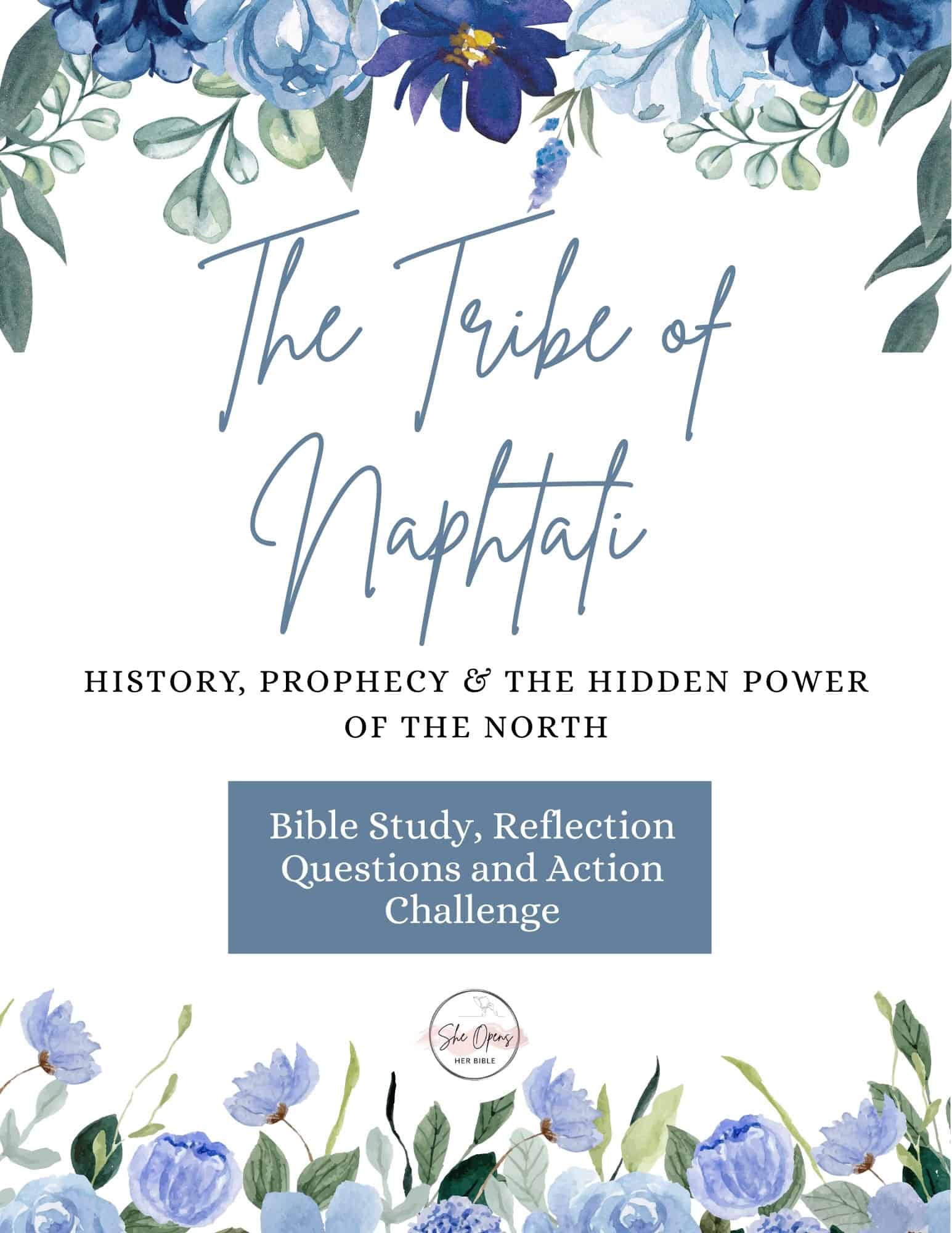 Tribe Of Naphtali: History, Prophecy & The Hidden Power Of The North