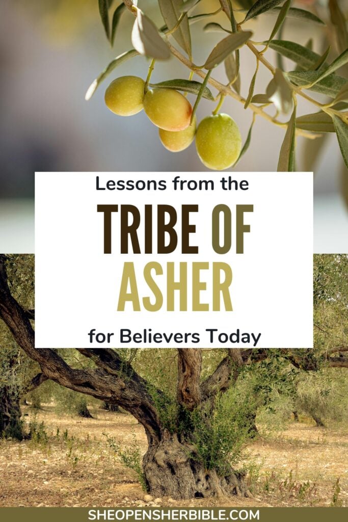 Tribe Of Asher: Discover The Remarkable Legacy And Prophetic Destiny