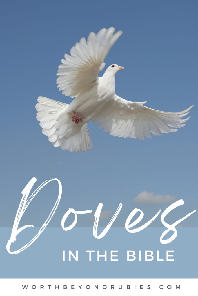 Doves In The Bible: Symbols Of Peace, Purity, And Divine Presence