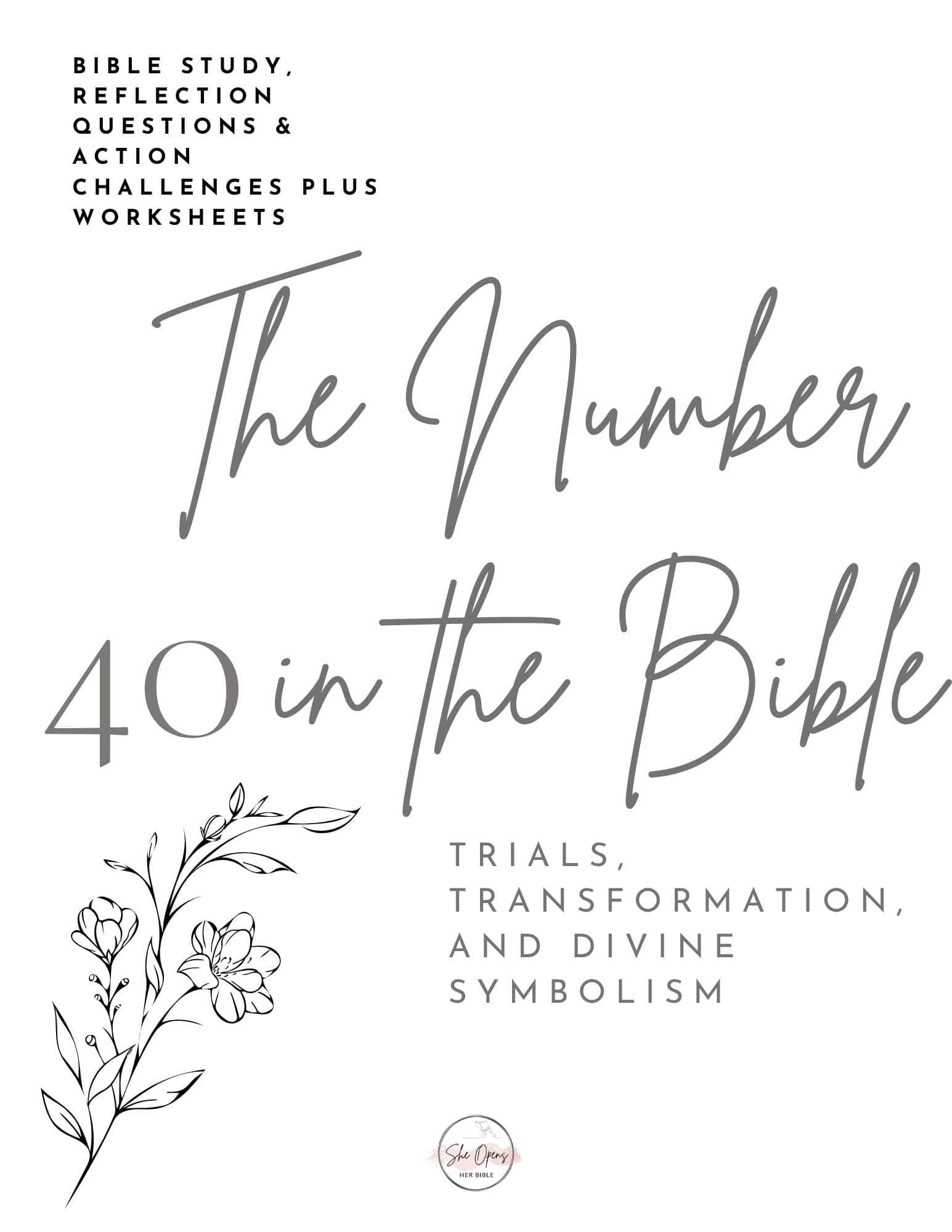 The Number 40 In The Bible: Trials, Transformation, And Divine Symbolism