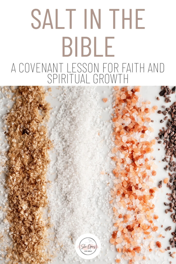 Salt In The Bible: 7 Lessons That Still Season Our Faith Today