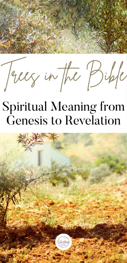 Trees In The Bible: Their Hebrew Meaning, Symbolism, And Spiritual ...